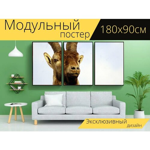 Модульный постер "Коза, дикий, гора" 180 x 90 см. для интерьера