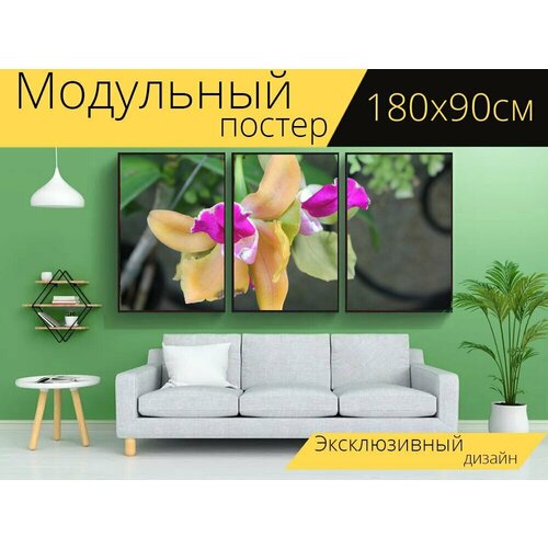 Модульный постер "Орхидея, цветок, блум" 180 x 90 см. для интерьера