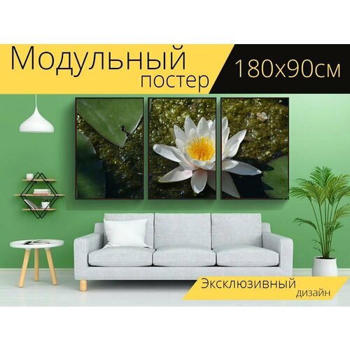 Модульный постер "Лотос, цветок, белый" 180 x 90 см. для интерьера