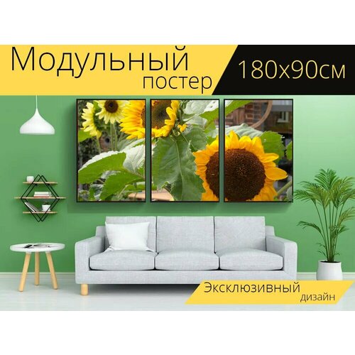 Модульный постер "Подсолнухи, желтые цветы, природа" 180 x 90 см. для интерьера