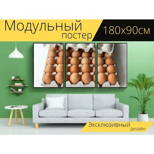 Модульный постер "Яйца, упаковка, тара" 180 x 90 см. для интерьера