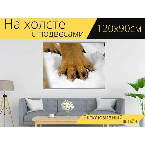 Картина на холсте "Собака, лаба, коготь" с подвесами 120х90 см. для интерьера