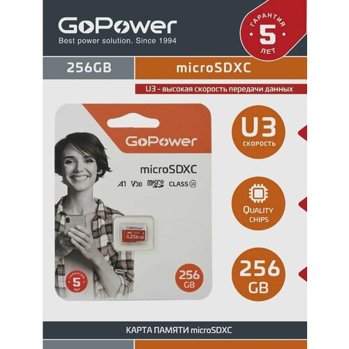 Карта памяти microSD GoPower 256GB Class10 UHS-I (U3) 100 МБ/сек V30 без адаптера