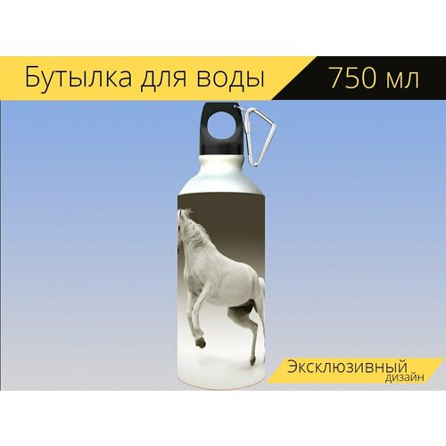 Бутылка фляга для воды "Лошадь, кобыла, животное" 750 мл. с карабином и принтом