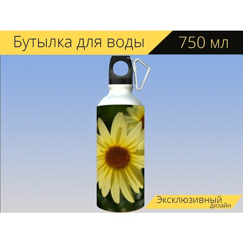 Бутылка фляга для воды "Маргаритка, мягкий желтый, лепестки" 750 мл. с карабином и принтом
