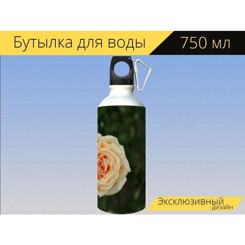 Бутылка фляга для воды "Роза, цветок, желтый цветок" 750 мл. с карабином и принтом