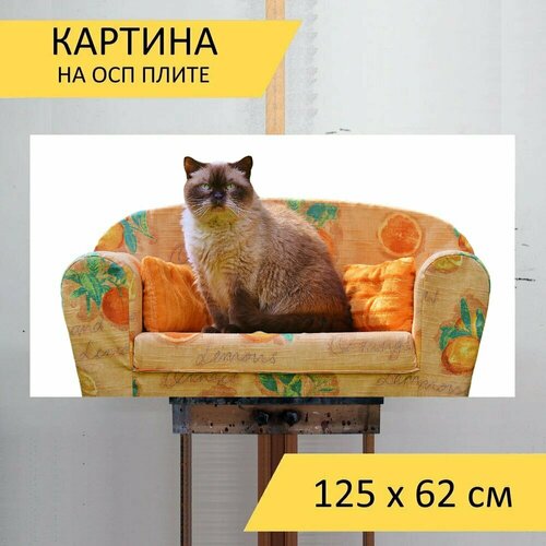 Картина на ОСП 125х62 см. "Диван, кот, британская короткошерстная кошка" горизонтальная, для интерьера, с креплениями