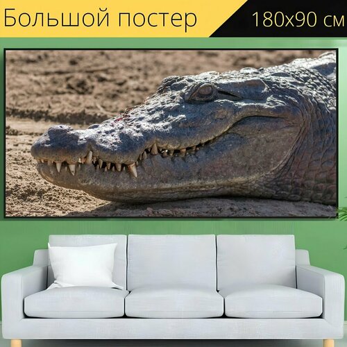 Большой постер "Дикая природа, животное, крокодил" 180 x 90 см. для интерьера