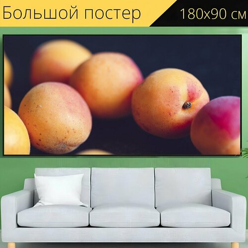 Большой постер "Абрикос, фрукты, здоровый" 180 x 90 см. для интерьера