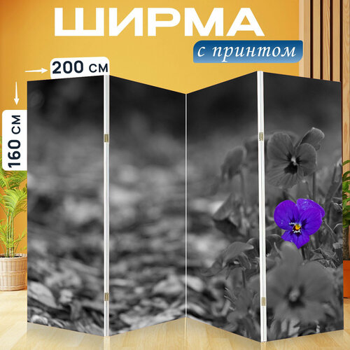 Ширма перегородка с принтом "Цветы на песке, весна, цветок" на холсте - 200x160 см. для зонирования, раскладная