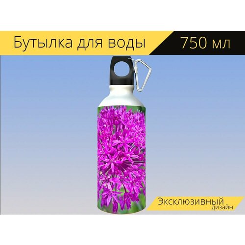 Бутылка фляга для воды "Цветок, декоративные лук, мяч лука порея" 750 мл. с карабином и принтом