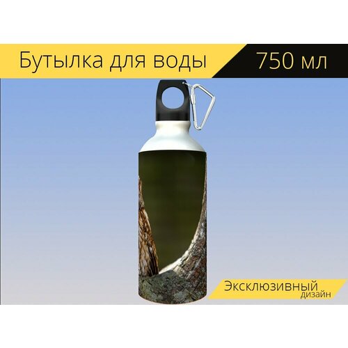 Бутылка фляга для воды "Неясыть, сова, дерево" 750 мл. с карабином и принтом