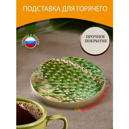 Подставка под горячее "Кактус, завод, рост" 10 см. из блого мрамора