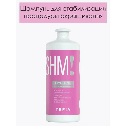 Tefia, Шампунь для стабилизации процедуры окрашивания MYPOINT Service, 1000 мл