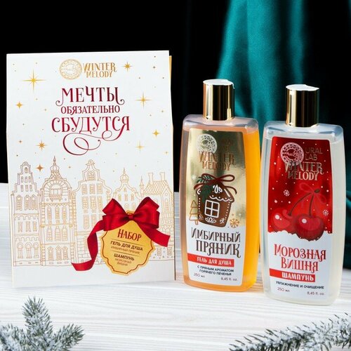 Winter Melody, Подарочный новогодний набор «Мечты сбудутся!», гель для душа, 250 мл шампунь для волос, 250 мл