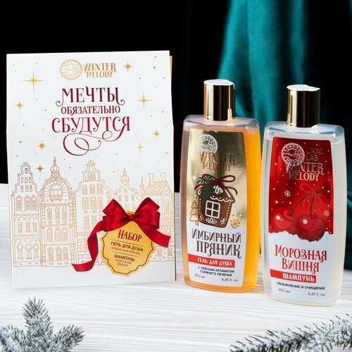 Winter Melody, Подарочный новогодний набор «Мечты сбудутся!», гель для душа, 250 мл шампунь для волос, 250 мл