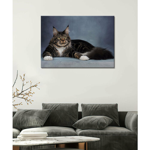 Картина - кошка, мейн-кун, домашняя кошка, ласковая кошка, кот (278) 30х40