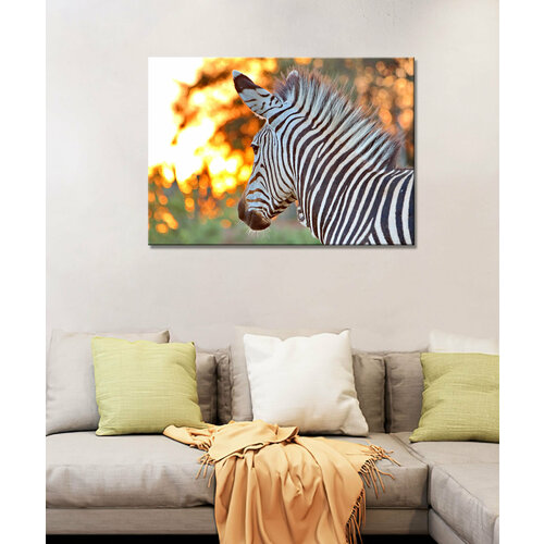 Картина - Зебра, полосатая зебра, красивая зебра, зебра в Африке (9) 20х30