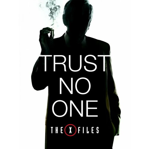 Плакат, постер на холсте The X Files/Trust no One/Секретные материалы/черно-белый. Размер 30 х 42 см