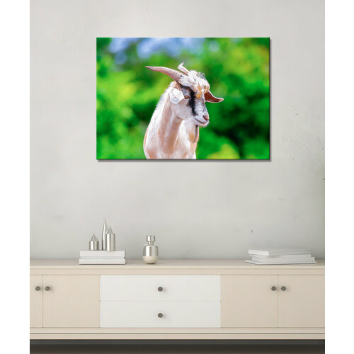 Картина - Коза, пятнистая коза, козел, пятнистый козел (12) 40х60