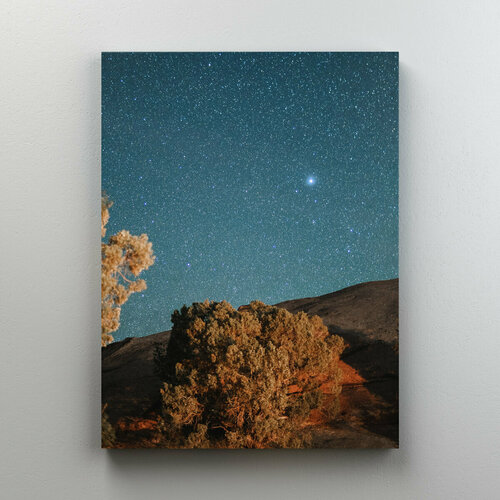 Интерьерная картина на холсте "Летняя ночь" пейзажи, размер 45x60 см