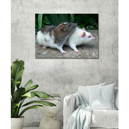 Картина - Мышь, мышка, мышонок, мышь макро, милая мышка (43) 20х30