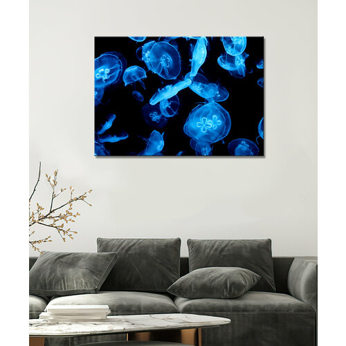 Картина/Медуза/Медузы/Медуза в океане/Медуза в море - Медуза (2) 50х70