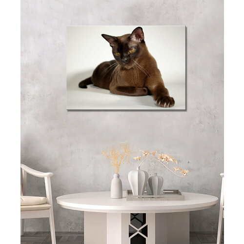 Картина - кошка, бурманская кошка, кот, тёмная кошка, ласковая кошка (45) 30х40