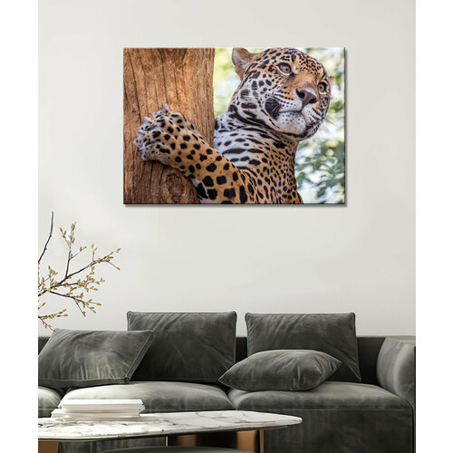 Картина/Ягур/Ягуар в джунглях/Ягуар на дереве/Черный ягуар/ - Ягуар (58) 40х60