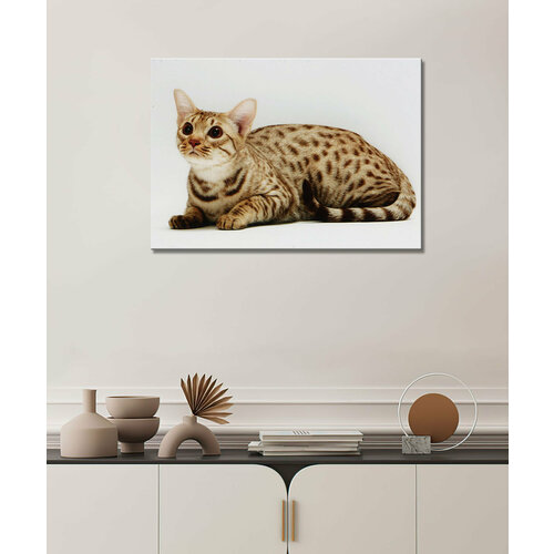 Картина - кошка, кошка оцикет, кошка-оцелот, короткошёрстная кошка, кот (50) 60х80