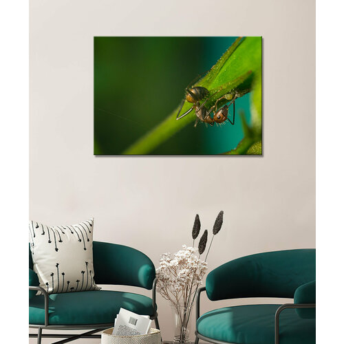Картина - Муравей, муравей макро, муравей близко (26) 50х70