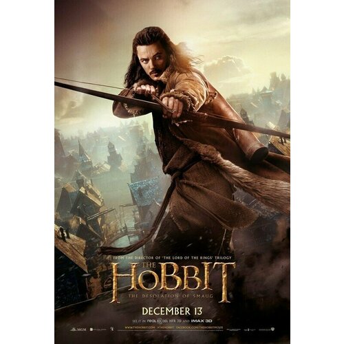 Плакат, постер на холсте Хоббит: Пустошь Смауга (The Hobbit The Desolation of Smaug), Питер Джексон. Размер 42 х 60 см