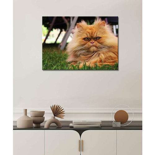 Картина - кошка, персидская кошка, домашняя кошка, ласковая кошка, кот (313) 30х40