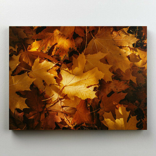 Интерьерная картина на холсте "Осенние листья клена" размер 30x22 см