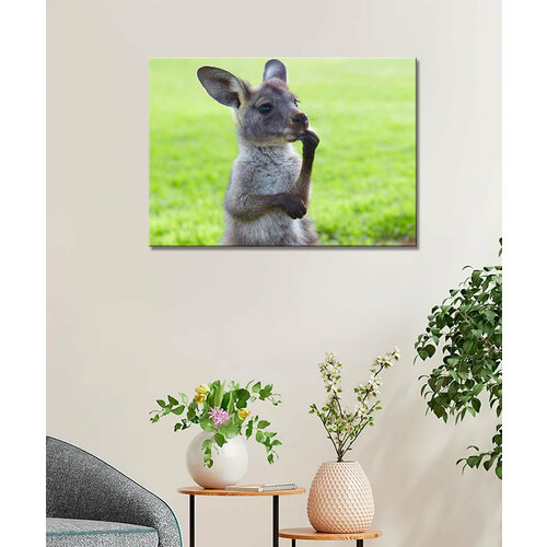 Картина - кенгуру, маленький кенгуру, длинноухий кенгуру, кенгуру на траве, малыш кенгуру (9) 60х80