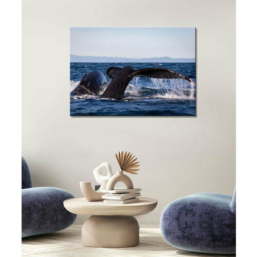Картина - Кашалот, китообразные кашалоты, хвост кашалота, погружение кашалота, кашалот в океане (9) 20х30