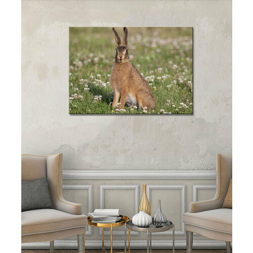 Картина - Заяц, зайцы, зайчонок, зайка, ушастый заяц, пушистый заяц, заяц в поле, заяц с цветами (19) 60х80