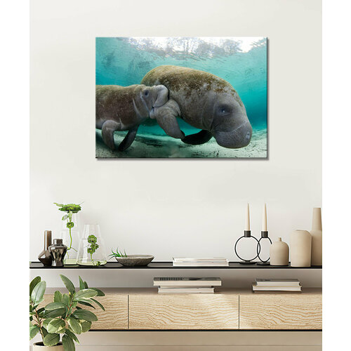 Картина - Ламантин, морская корова, ламантин в воде (4) 50х70