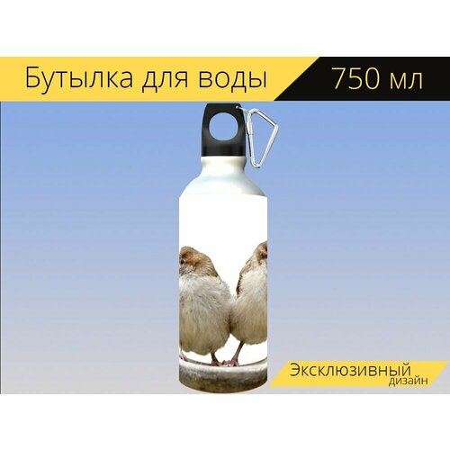 Бутылка фляга для воды "Воробьи, птицы, изолированный" 750 мл. с карабином и принтом