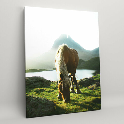 Картина на холсте (интерьерный постер) "Конь на пастбище" животные, с деревянным подрамником, размер 30х40 см