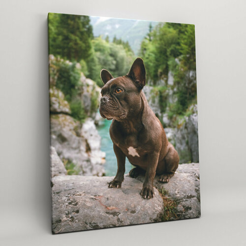 Картина на холсте (интерьерный постер) "Французский бульдог на природе" собаки, животные, с деревянным подрамником, размер 45x60 см