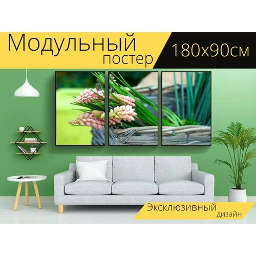 Модульный постер "Цветок, корзина, весна" 180 x 90 см. для интерьера
