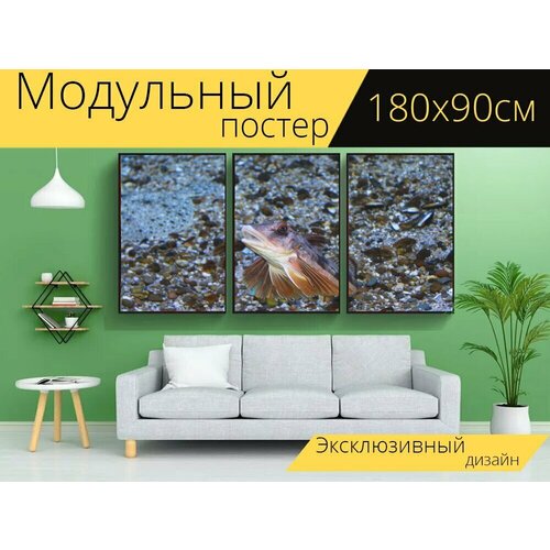 Модульный постер "Рыбы, море, животное" 180 x 90 см. для интерьера
