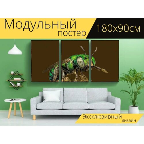 Модульный постер "Зеленый, пчелка, марко" 180 x 90 см. для интерьера