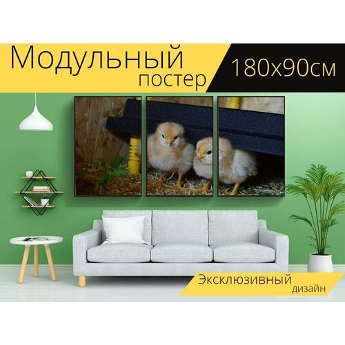 Модульный постер "Цыпленок, куриные младенцы, милый" 180 x 90 см. для интерьера