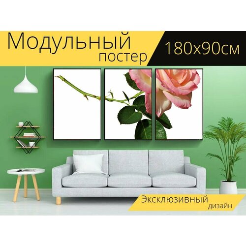 Модульный постер "Роза, корень, ароматный" 180 x 90 см. для интерьера