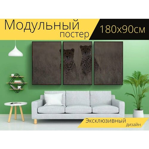 Модульный постер "Гепард, животные, сафари" 180 x 90 см. для интерьера