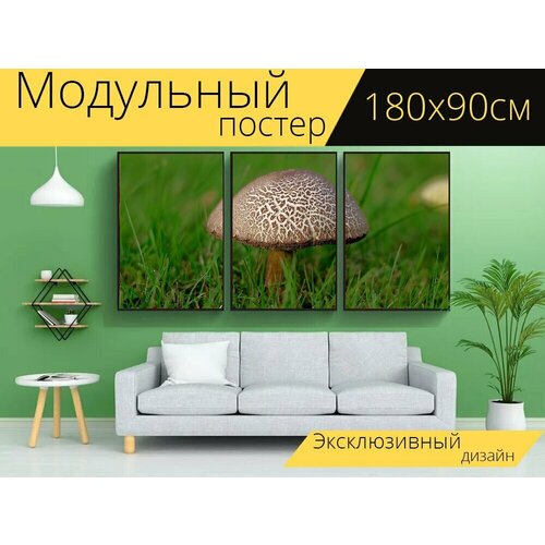Модульный постер "Гриб, подберезовик, березовый гриб" 180 x 90 см. для интерьера