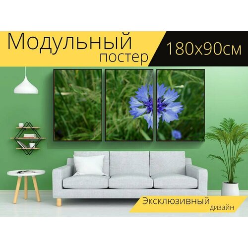 Модульный постер "Васильки, цветок, синий" 180 x 90 см. для интерьера