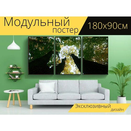 Модульный постер "Деревья, стволы, листвы" 180 x 90 см. для интерьера